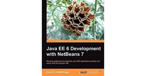 Java Ee 6 Development With Netbeans 7 By David R Heffelfinger