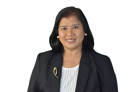 Division Memo No 542 S2025 Ched Memorandum Order No 7 Series 2025 Policies Standards And