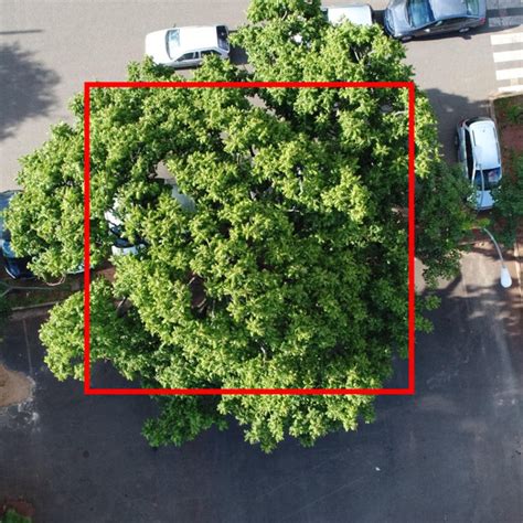 Pdf Assessment Of Cnn Based Methods For Individual Tree Detection On Images Captured By Rgb