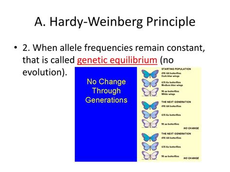 Ppt Hardy Weinberg And Genetic Equilibrium Powerpoint Presentation Free Download Id 4629026