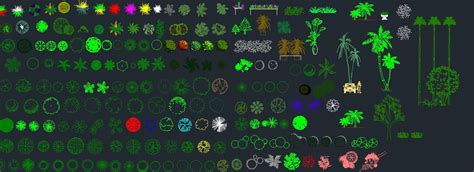 Plants Grass Trees Flowering Plants Bushes Shrubs Greens Palm