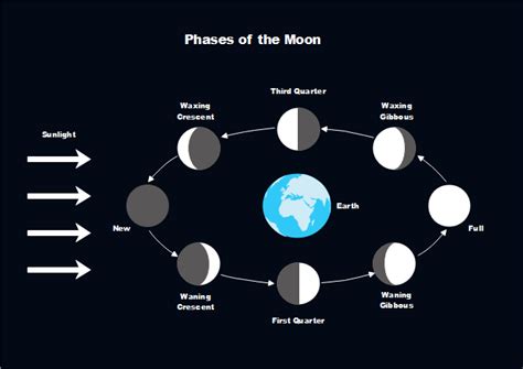 Moon Phases Free Moon Phases Templates Worksheets Library
