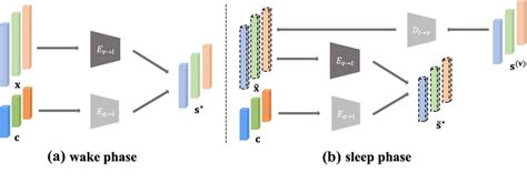 The Wake Sleep Procedure The Features Represented As Dotted Lines Are Download Scientific