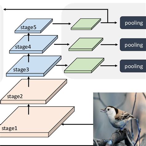 The Framework Of Granularity Aware Convolutional Neural Network Ga Cnn