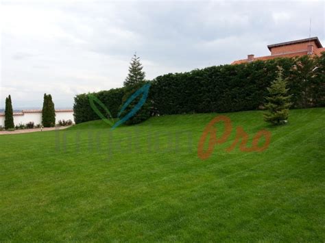 Озеленяване на двор и изграждане на автоматизирани поливни системи