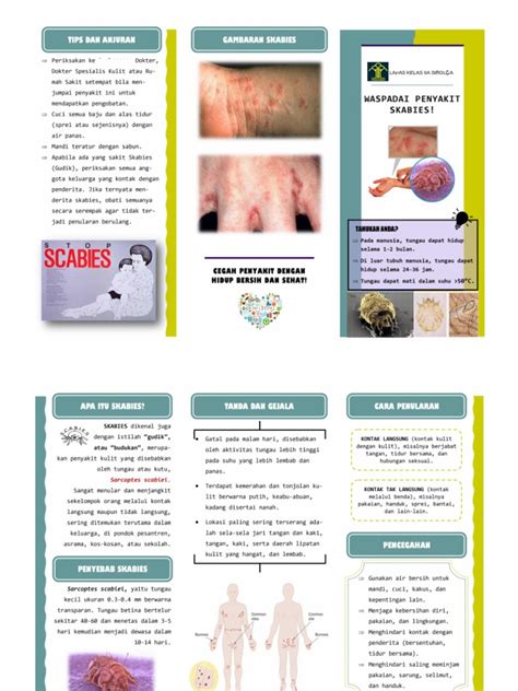 Leaflet Scabies Pdf