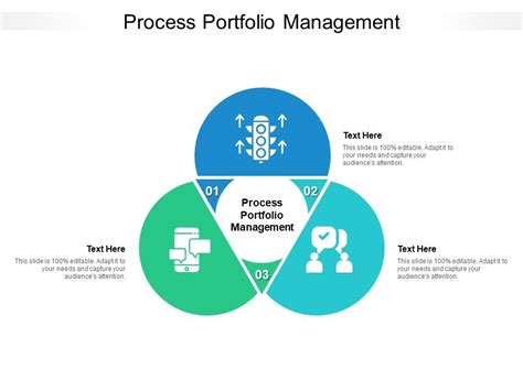 Process Portfolio Management Ppt Powerpoint Presentation Portfolio