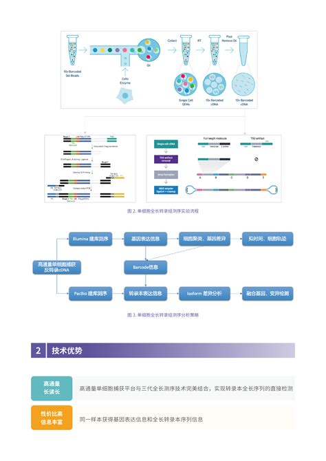 单细胞三代测序 科研服务 博奥晶典—做共建 找晶典