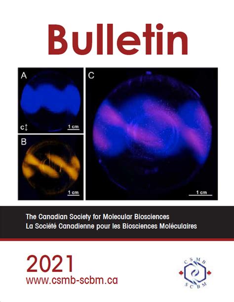 Read The 2021 Csbm Bulletin Canadian Society For Molecular Biosciences