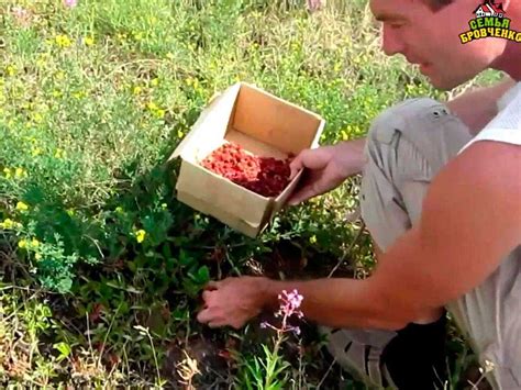 Семья Бровченко. Веселая поездка за клубникой, разговор за землю и ...