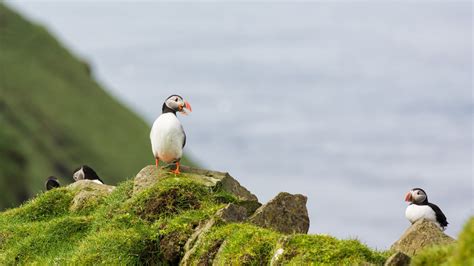 Rethinking Assessment And Grading Towards Equity And Deeper Learning