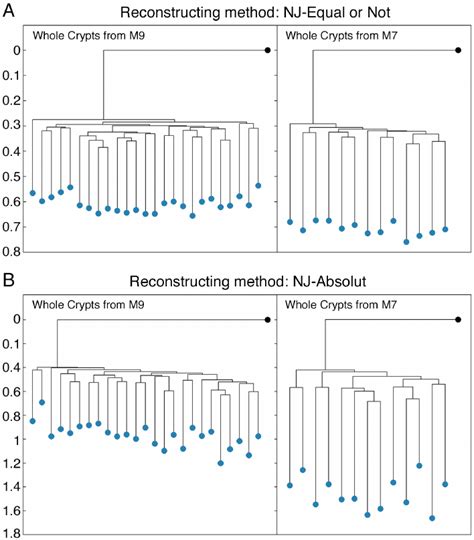 Depth Separation Comparison Of Two Distance Measures On The Same Download Scientific Diagram