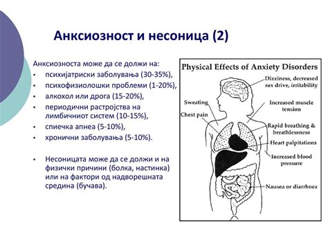 Растителни дроги и природни производи третманот на Ppt Download