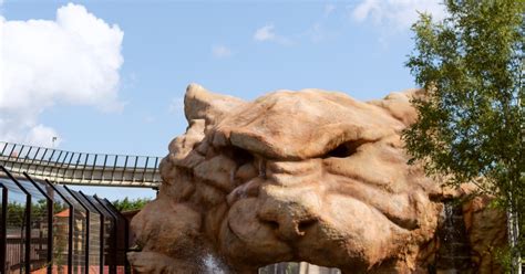 Building A Startup Mvp With No Code Tools