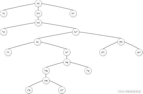 Leetcode图论专题leetcode图论题目 Csdn博客