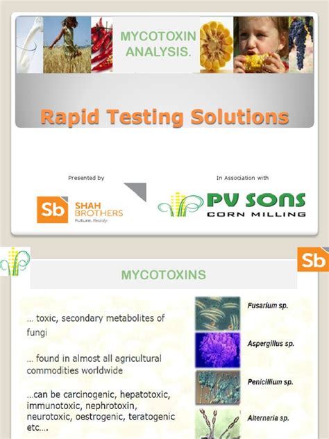 Presentation For Aflatoxin Testing Pdf
