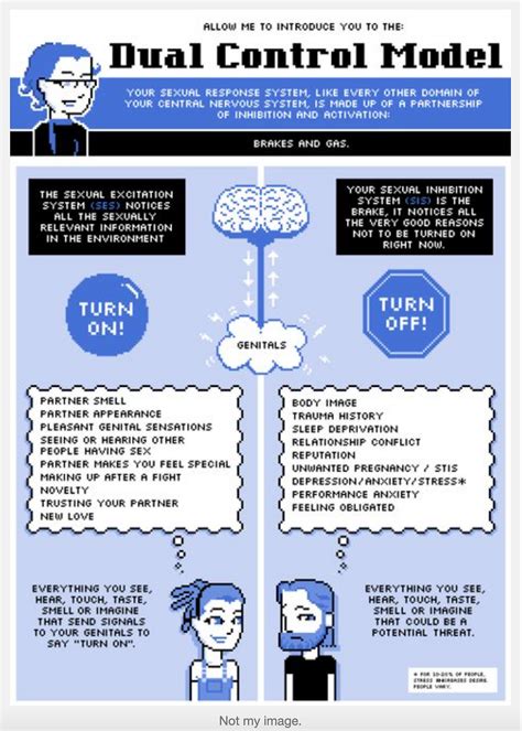 Fueling Desire Nurturing Intimacy In Long Term Relationships Through The Dual Control Model