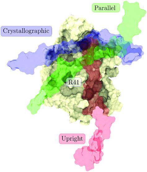 three mutually exclusive binding modes the three binding modes aligned