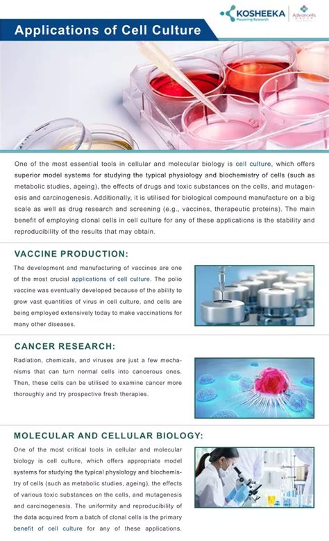 Ppt Applications Of Cell Culture Powerpoint Presentation Free