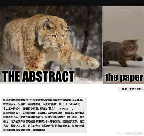 理解多模态大语言模型，主流技术与最新模型简介 Csdn博客