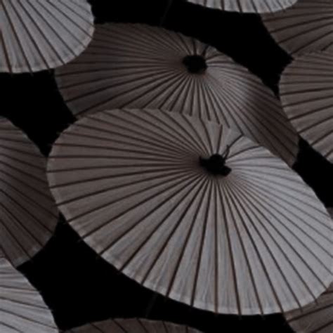 Pin By Mackenzie On Aesthetic Masculinity Japanese Umbrella