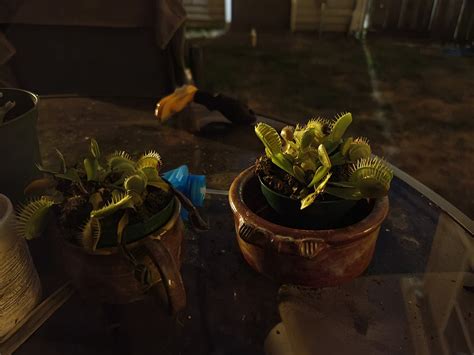 Galaxy Note 20 Ultra Review Worth Its 1299 Price Tag