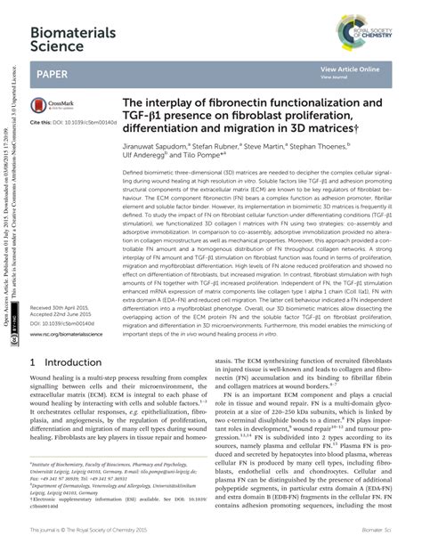 Pdf The Interplay Of Fibronectin Functionalization And Tgf ß1 Presence On Fibroblast