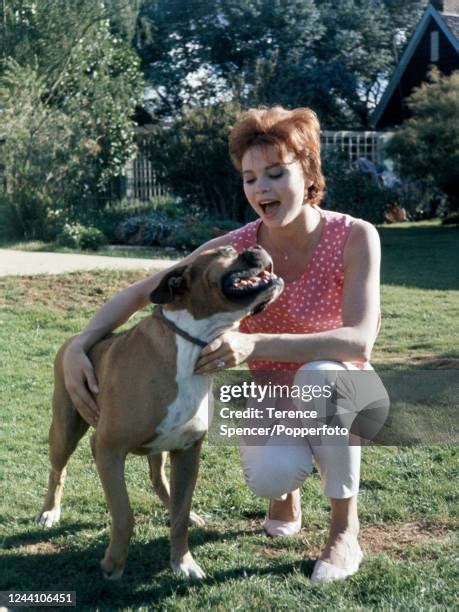 545 Juliet Prowse Photos And High Res Pictures Getty Images