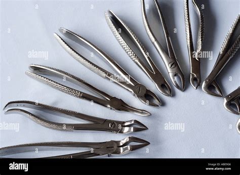 Pinza Per Estrazione Immagini E Fotografie Stock Ad Alta Risoluzione