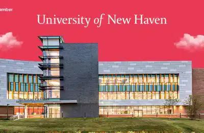 University Of New Haven Your Go To Admission Checklist
