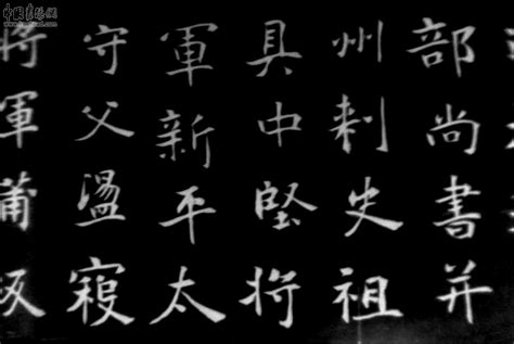 张黑女 搜狗百科