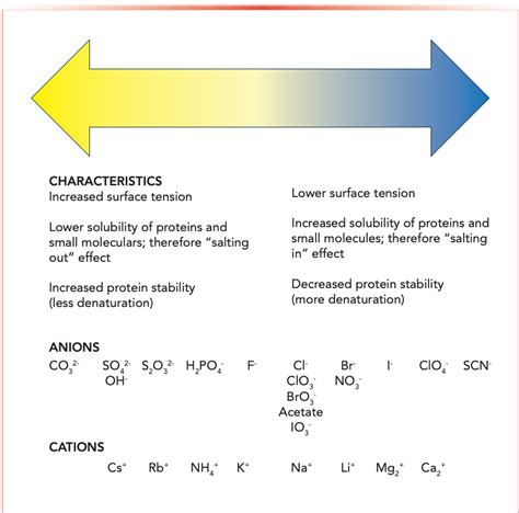 Enhancing Extractions By Salting Out