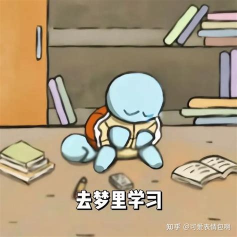 我嘞个豆~ 知乎