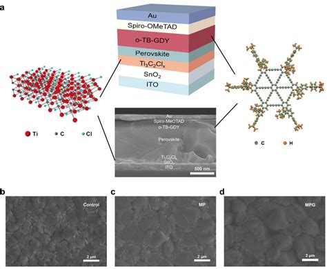 Dual Interface Passivation Via Novel 2d Carbides A Left Molecular Download Scientific