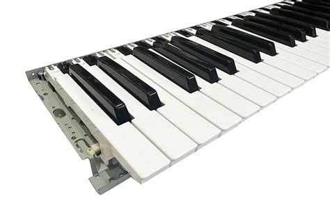 Keybed Roland 61 Note Syntaur