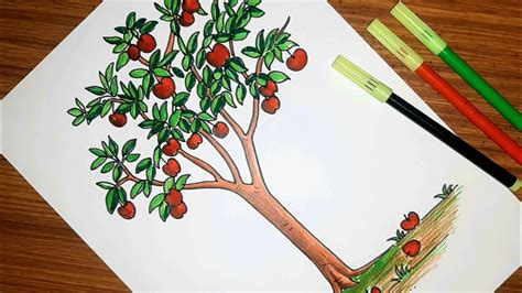 How to draw Apple tree easy step by step আপল গছ আক YouTube