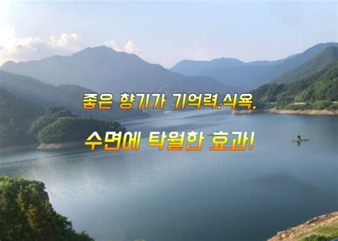 좋은 향기가 기억력식욕수면 효과 네이버 블로그