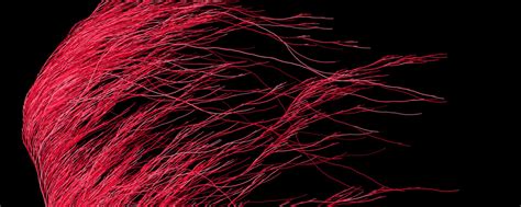 The Collatz Conjecture Opencurve A Bit Of Maths And Physics For Everyone