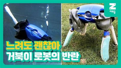 느려도 괜찮아 거북이 로봇의 반란