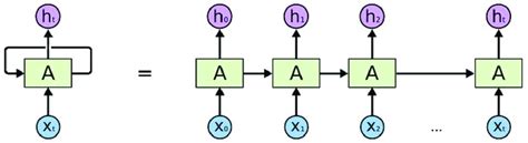 Rnn Network Architecture With A Loop Adapted From 71 Download Scientific Diagram