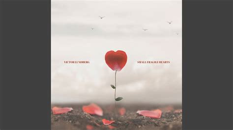 Small Fragile Hearts Victor Lundberg Song Lyrics Music Videos