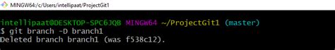 How To Navigate Git And Github Introductory Version Control Guide Nucleio Information Services