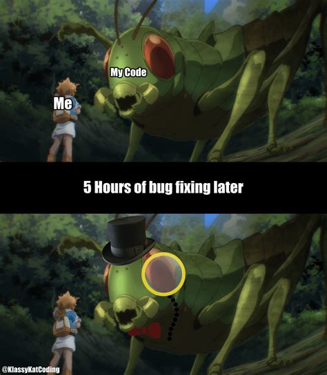 Debugging R Programmeranimemes