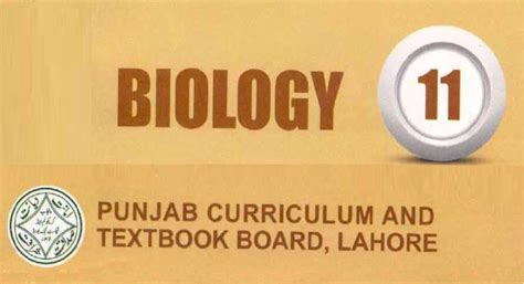 Class 11 Mathematics Book Nbf Federal Board