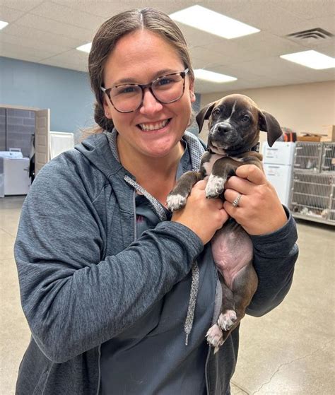 Experienced Veterinarians Veterinary Hospital