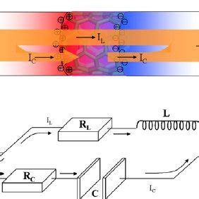 A Current Flow In The Parallel Circuit B The Equivalent Electric Download Scientific