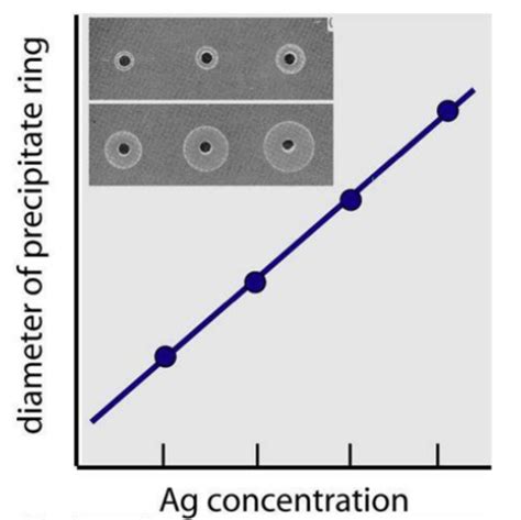 Lecture 36 Immunodiagnostics Flashcards Quizlet