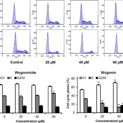 Apoptosis Assay Using Flow Cytometry After Staining With Annexin