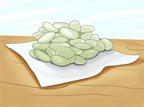 How To Grow Lima Beans Steps With Pictures WikiHow