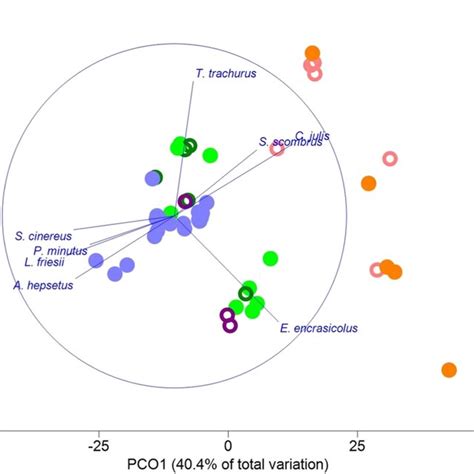 Results Of Principal Coordinate Analysis Pcoa Derived From Download Scientific Diagram